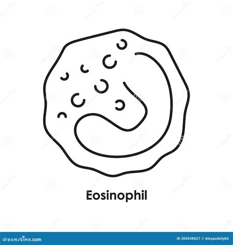 Eosinophil A White Blood Cell Stock Illustration