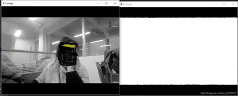 各项异性扩散（anisotropic Diffusion） 算法简介（python）代码实现 各向异性扩散python图像处理 Csdn博客