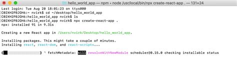 How To Create A Hello World App In Reactjs Creating Your First React App Mr Virk Media