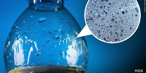 Tiny Plastics Big Problem Uva Researcher Breaks Down The Effects Of