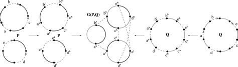 The Breakpoint Graph The Breakpoint Graph G P Q Of A Two Chromosomal Download Scientific