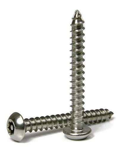 Stainless Steel Security Screw At ₹ 4 सिक्योरिटी स्क्रू In Vadodara