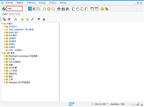 sap basis模块 client拷贝方法（包括同服务器和跨服务器拷贝） sap client copy csdn博客