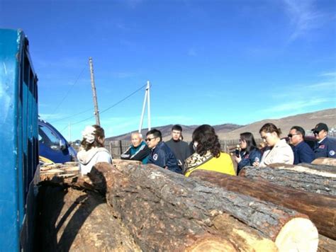 Мод нүүрсний захуудад хяналт шалгалт хийлээ