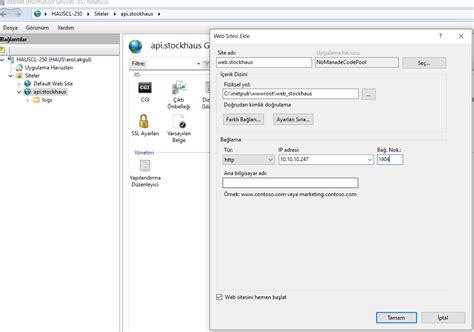 Windows 10da Dotnet Core Projesi Webapi Yayınlama Veritabanı And Yazılım Geliştirme