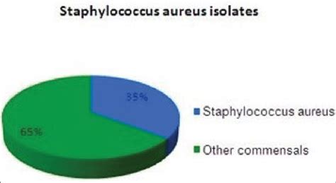 Staphylococcus Aureus Isolates Download Scientific Diagram