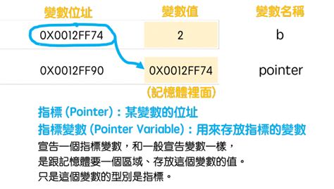 C語言 超好懂的指標，初學者請進～ 寫點科普 Lynn