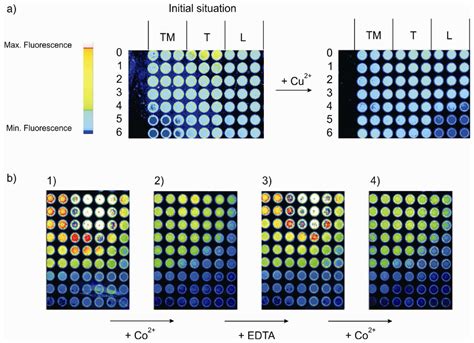 sensors free full text cross reactive sensor array for metal ion