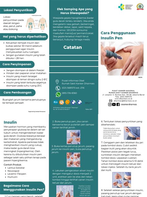 Nb090 Cara Penggunaan Insulin Pen Pdf
