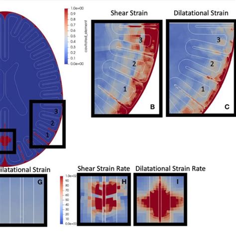 vascular simulation results at 2 5 ms a cross section of vascular