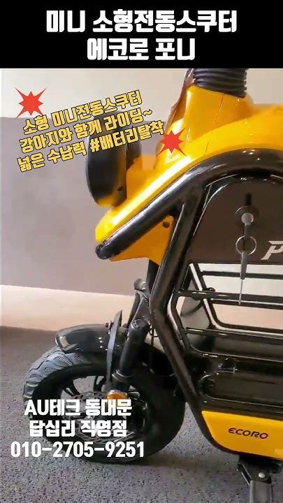 강아지와 함께 타는 미니소형 에코로포니 전동스쿠터~shots Au테크답십리직영점 Youtube