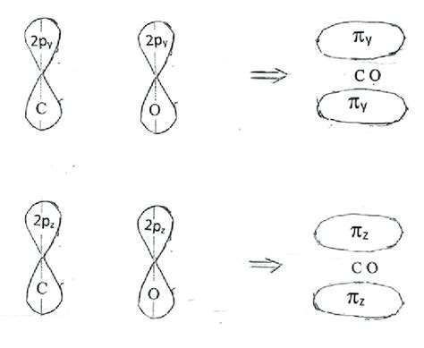 The formation of π orbitals bonding two atoms C and O together Download Scientific Diagram