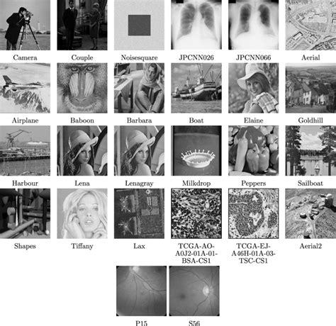 the 8 bit grayscale test images download scientific diagram