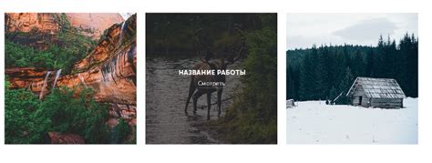 Html Разместить текст на изображении Stack Overflow на русском