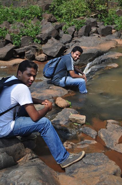 Things Do To In And Around Dediapada National Park In Gujarat
