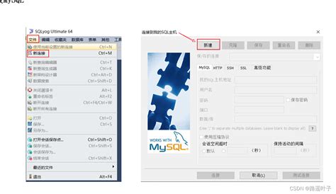 【mysql基础】mysql常用的图形化管理工具有那些？mysql图形化界面工具 Csdn博客