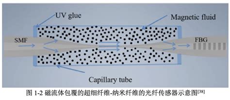 Research On Magnetic Field Sensor Based On Hollow Core Optical Fiber D