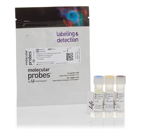 Molecular Probes™ Violet Ratiometric Membrane Asymmetry Probedead Cell