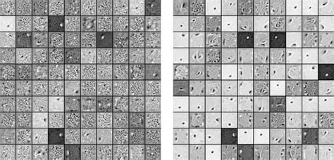 降噪自动编码器（denoising autoencoder physcal 博客园