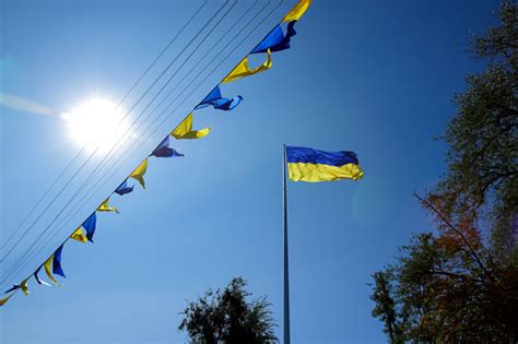 우크라이나어 플래그입니다 블루 우크라이나어 노란색 깃발 하늘 배경 우크라이나의 독립 날입니다 태양의 광선에 국가 상징 0명에 대한 스톡 사진 및 기타 이미지 Istock
