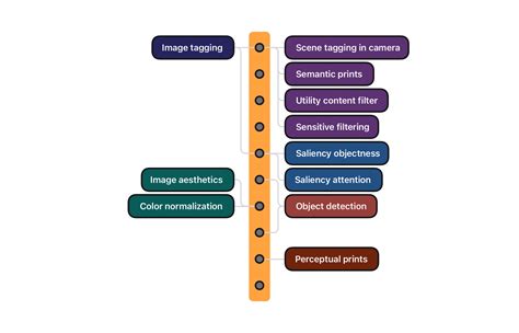 A Multi Task Neural Architecture For On Device Scene Analysis Apple