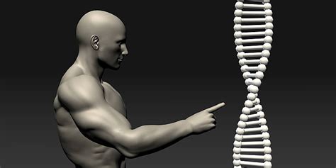 Science Molecule Dna Model Structure Structure Science Computer Photo