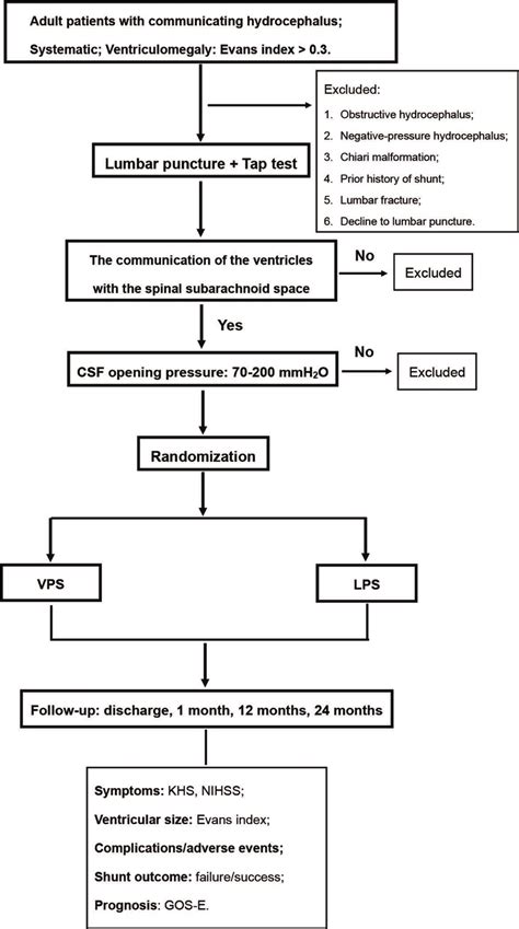 Flow Chart Of The Selection Of Patients Csf Cerebrospinal Fluid Download Scientific Diagram