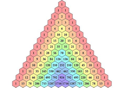 Pascals Triangle Photograph By Science Photo Library