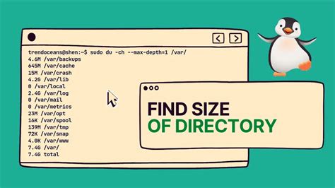 How To Find The Total Size Of A Directory In Linux Trend Oceans