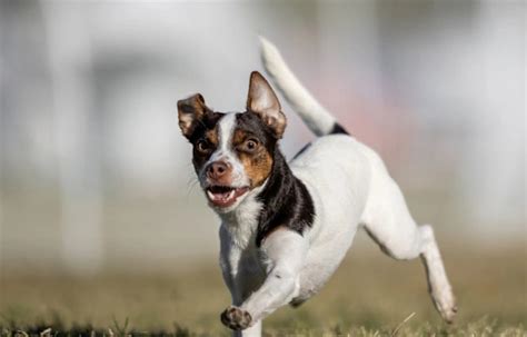 Maths And English Gcses Are Required For A Levels College And University So What Happens To