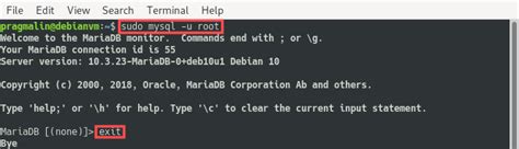 install a lamp stack on debian 10 buster pragmaticlinux