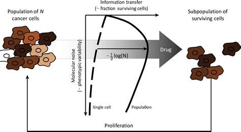 Figure 1 From Suprathreshold Stochastic Resonance Behind Cancer Semantic Scholar