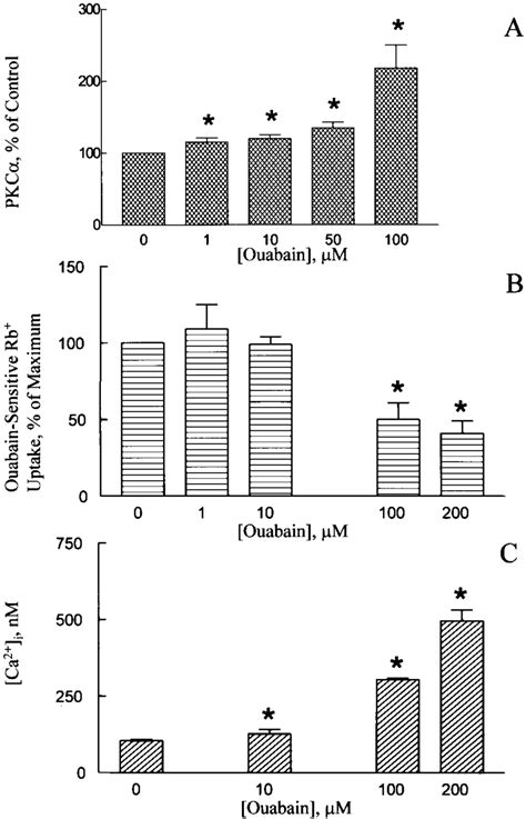 Comparison Of The Effects Of Varying Ouabain Concentrations On Pkc Download Scientific Diagram