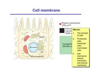 Cell Membrane PPT