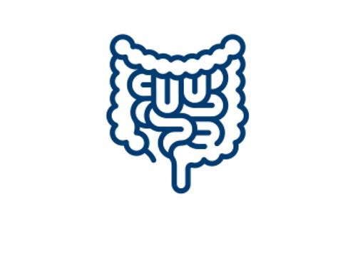 Linex Forte Za Zdravi Probavni Sustav Linex Probio