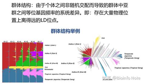 第七章 基因定位和全基因组关联分析 知乎