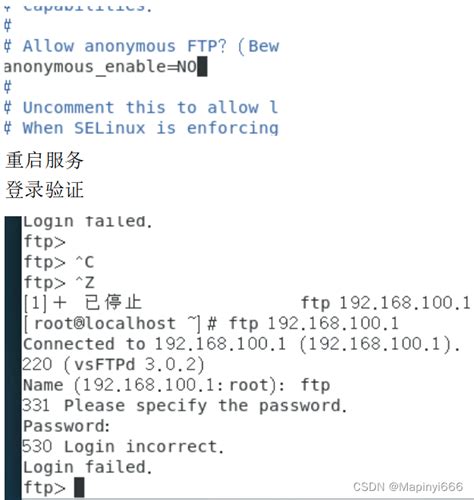 文件共享服务器 Ftp2学校因上传文件需要搭建一台ftp服务器该服务器的ip地址为19216811网关为19 Csdn博客