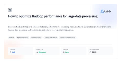 how to optimize hadoop performance for large data processing labex