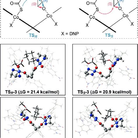 Copolymerization Of Cos And Various Meso Epoxides A Download Scientific Diagram