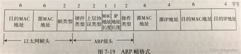 Arp报文及使用go实现golang Arp Csdn博客