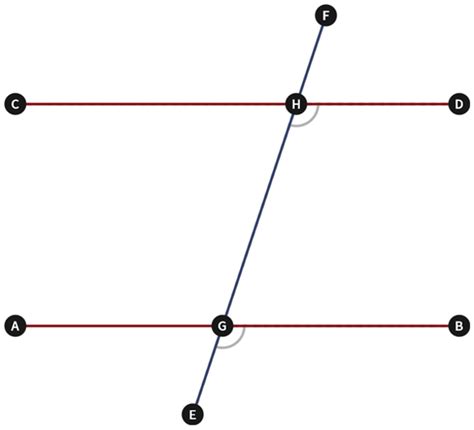 Computable Euclid Angles