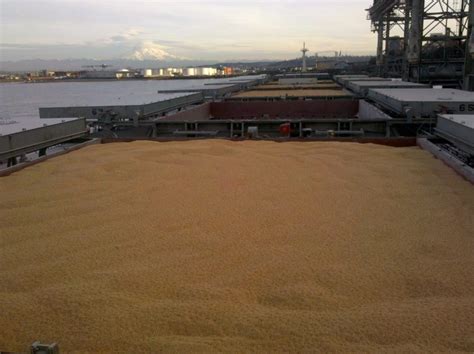 Grain Loading Grain Loading