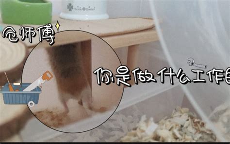 师傅 你是做什么的工作的哔哩哔哩bilibili