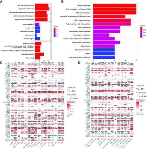 Gene Function And Correlation With Immunity A Go Analysis Of 68