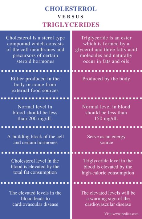 Difference Between Cholesterol And Triglycerides Definition Role In The Body Elevation