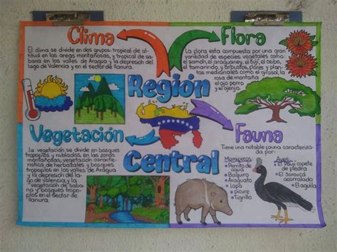 Flora Y Fauna De La Sierra Ecuatoriana Artofit
