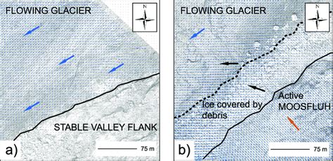 Detailed View Of Dic Derived Displacement Vector Fields In Two Types Of