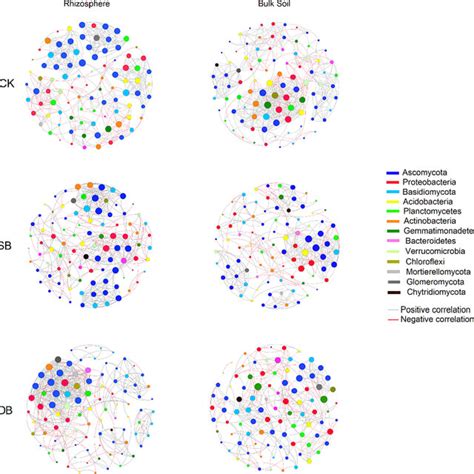 Correlation Base Network Analysis Showing Potential Interactions Download Scientific Diagram