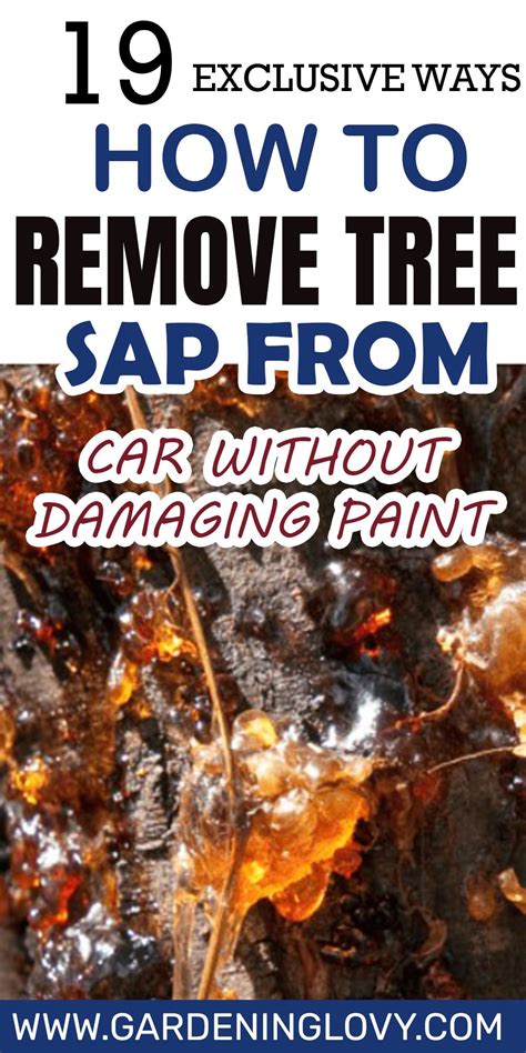 Ways How To Remove Tree Sap From Car Without Damage Artofit