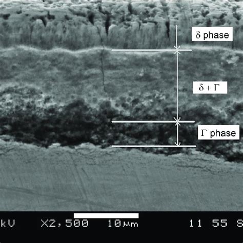 Cross Section Microstructure Of The Galvanised Coating Sem Image